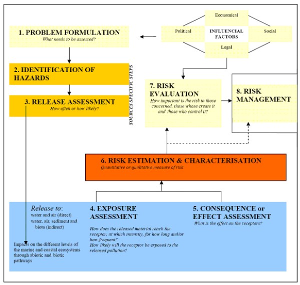 The four step risk assessment process