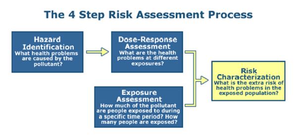 The four step risk assessment process
